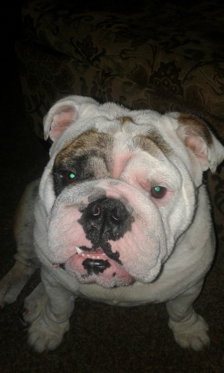 # .258By fifteen, Mike had a routine.School. Wrestling practice. Four ...