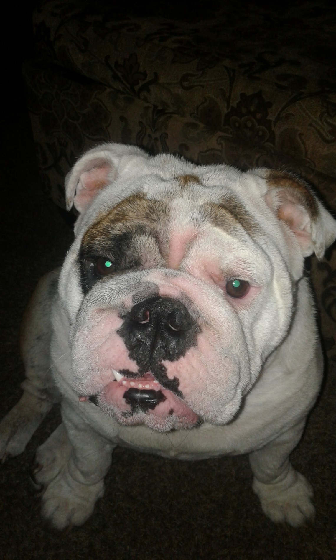 # .258By fifteen, Mike had a routine.School. Wrestling practice. Four ...