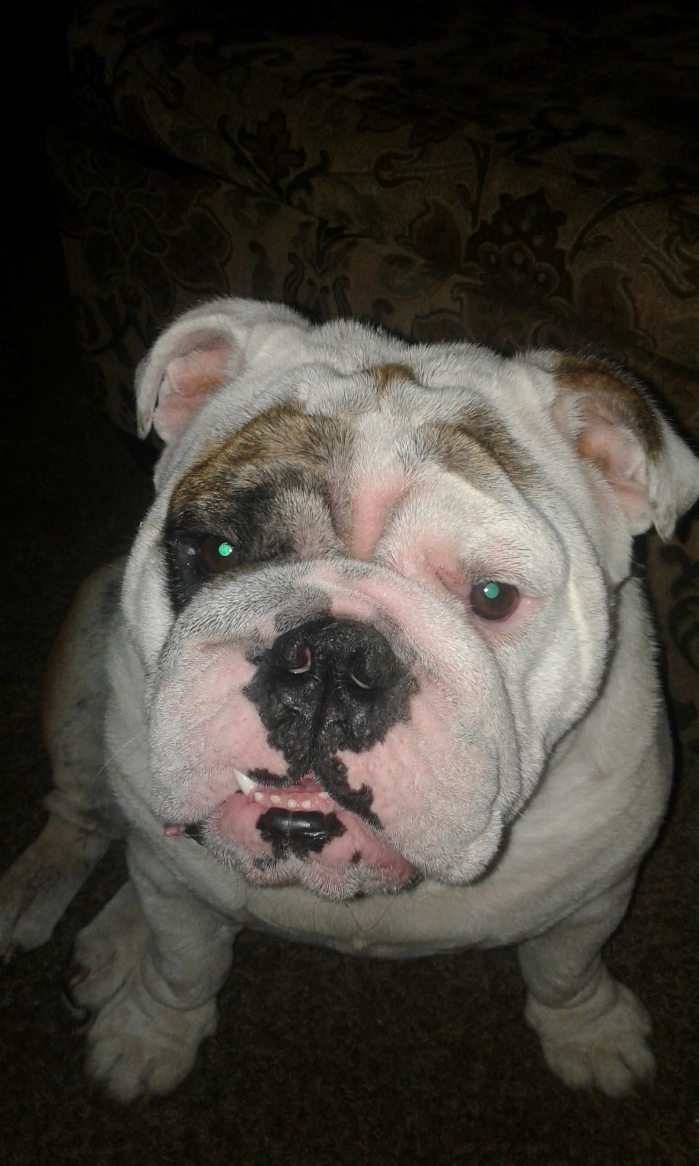 # .258By fifteen, Mike had a routine.School. Wrestling practice. Four ...